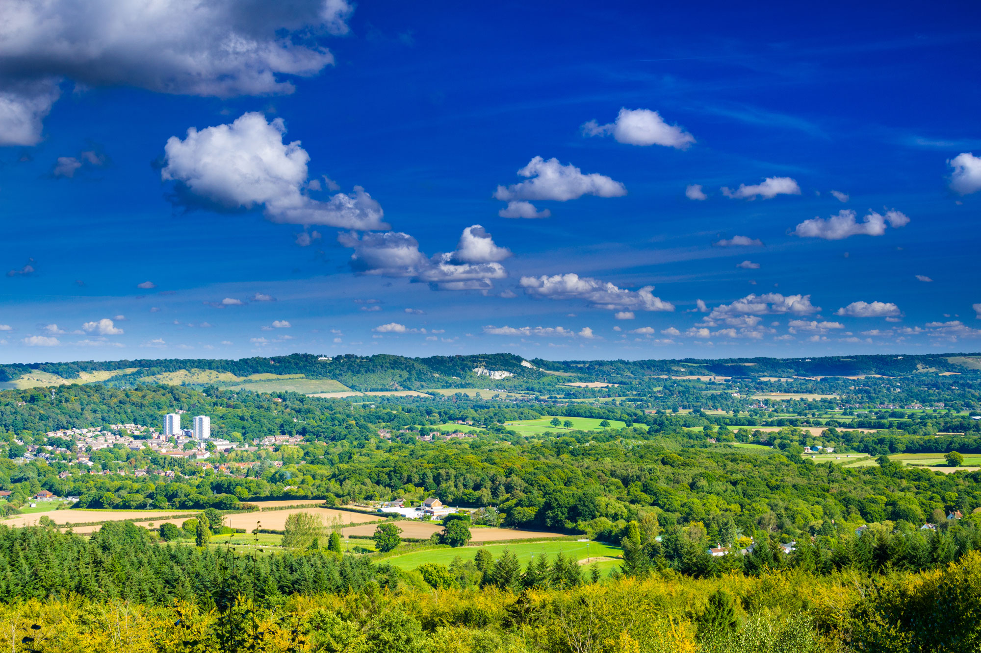 About Us - Mole Valley Chamber